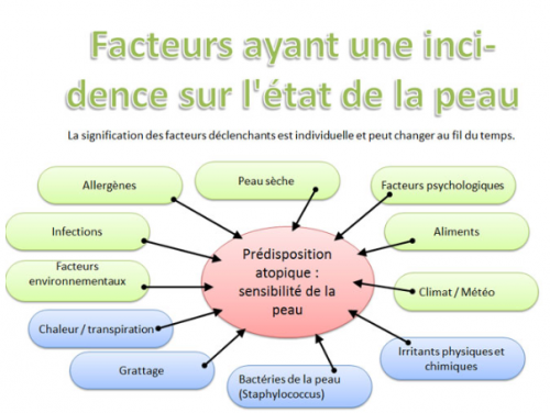 Eczéma : causes, apparence et traitement